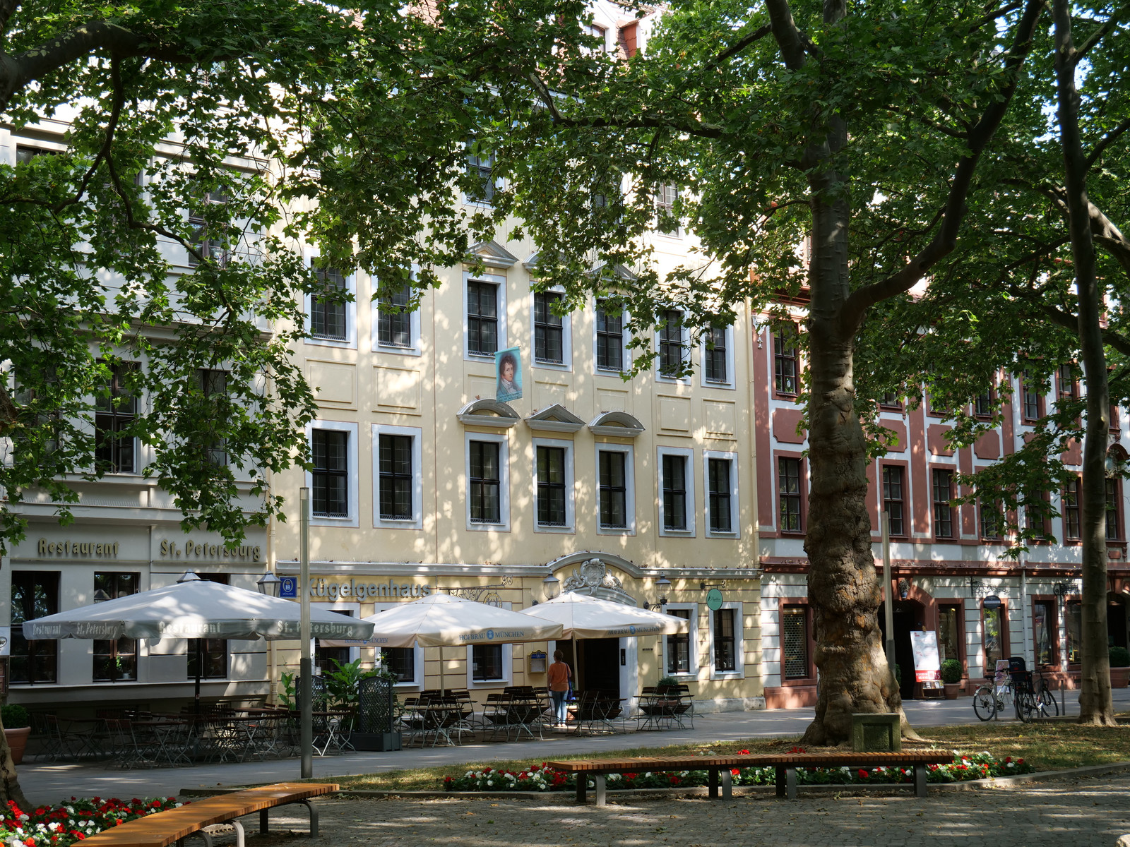 Die Museen - Besuch - Museen der Stadt Dresden